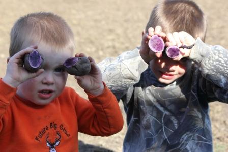 4-9-12 Planting potatoes Sam and Keith – Harner Brothers CSA